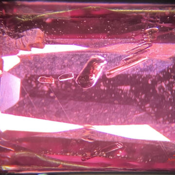 Inclusion Gallery - AIG